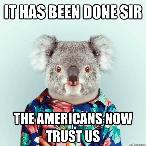 Koala Funny Meme