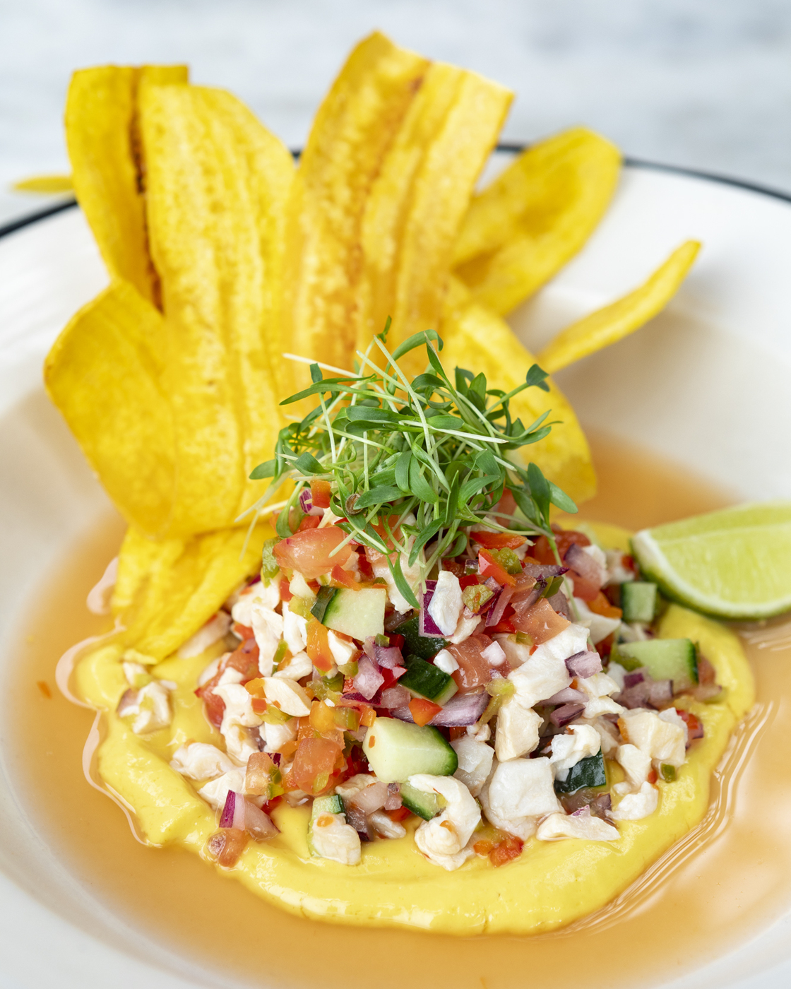 Conch Ceviche