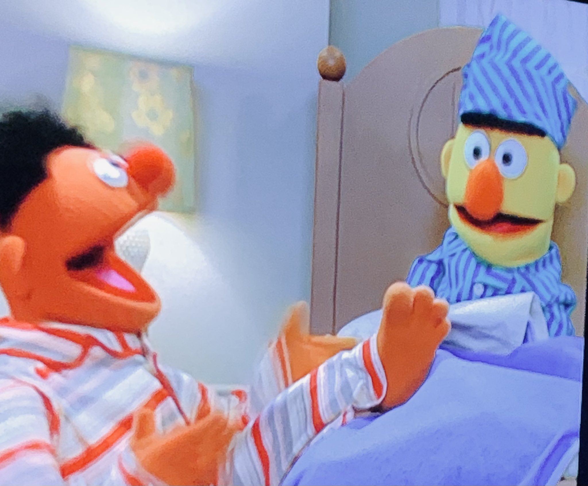 Sesame Street Bert And Ernie Feet