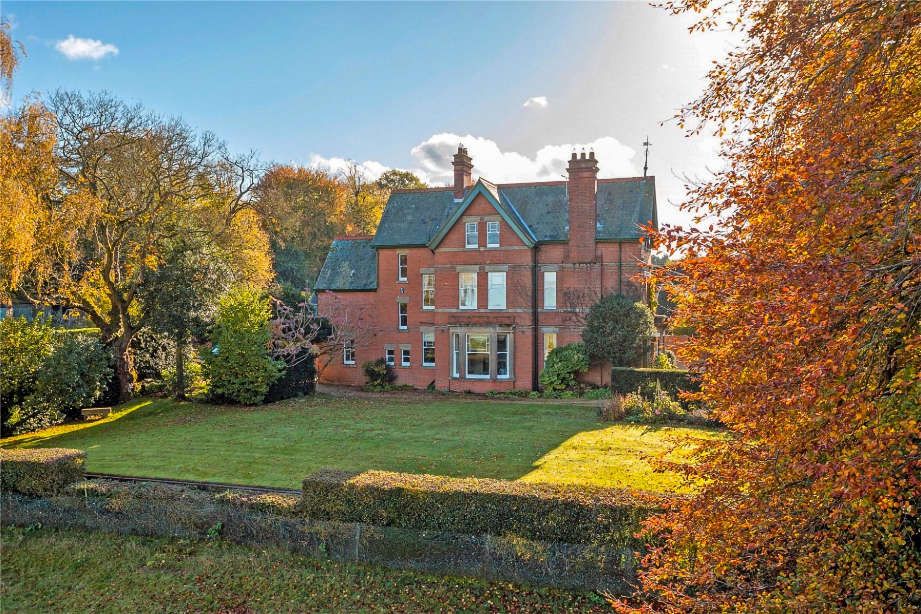 Rafi Toledano (@ToledanoRafi) / Twitter