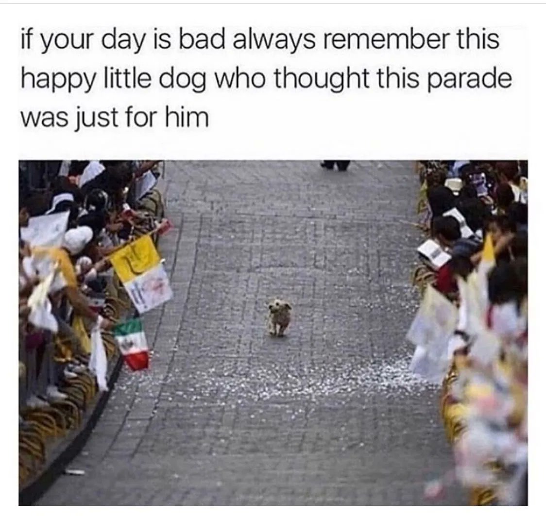 When Your Having A Bad Day Meme