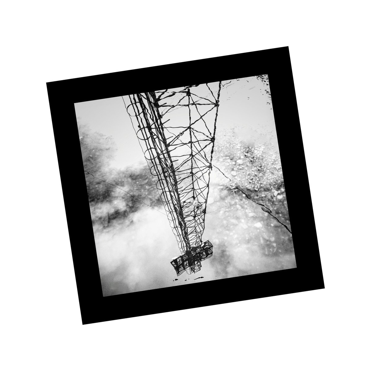 Simon Dodd (@SimonGDodd) | Twitter