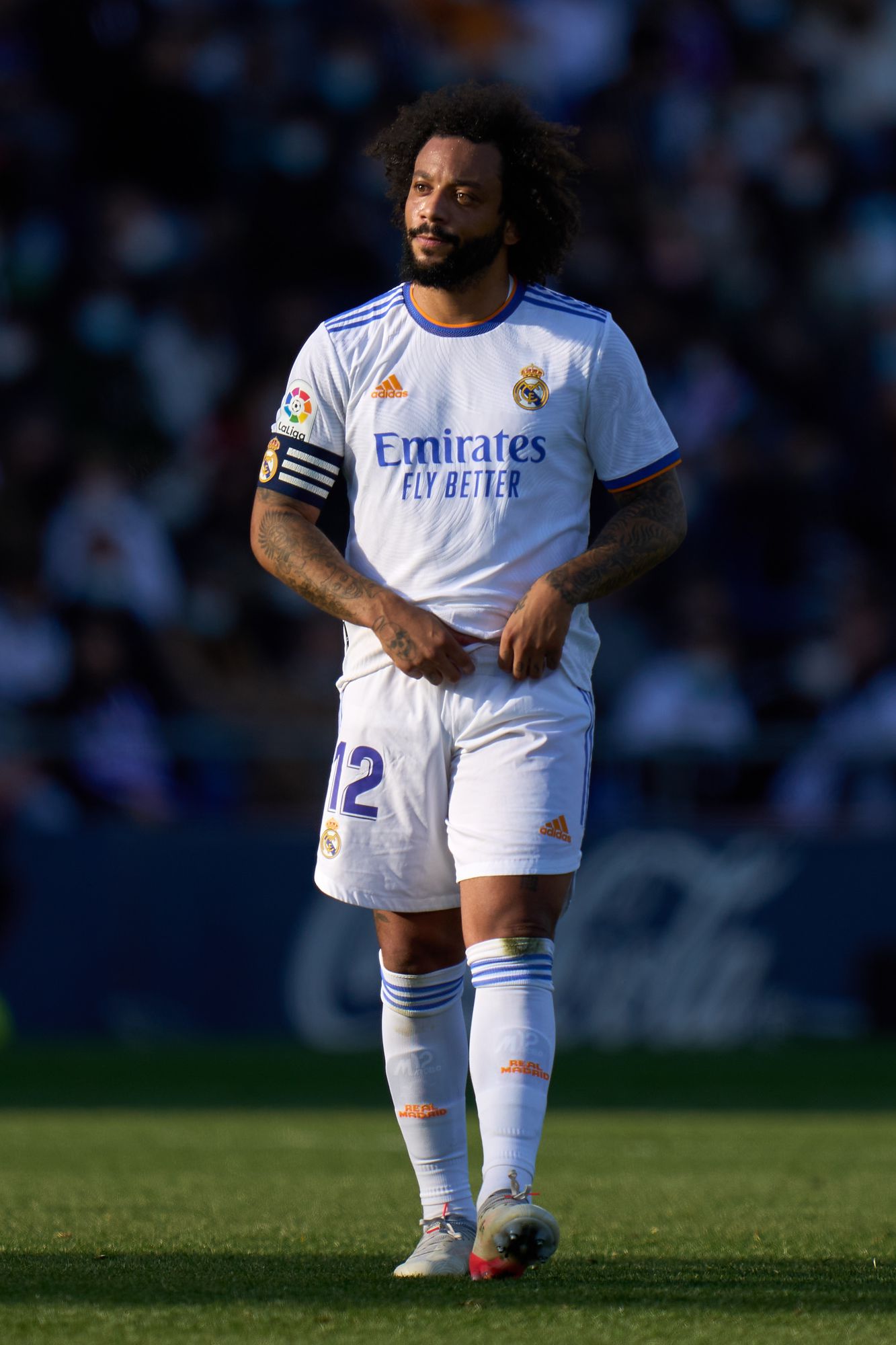 Marcelo 2022 Wallpaper