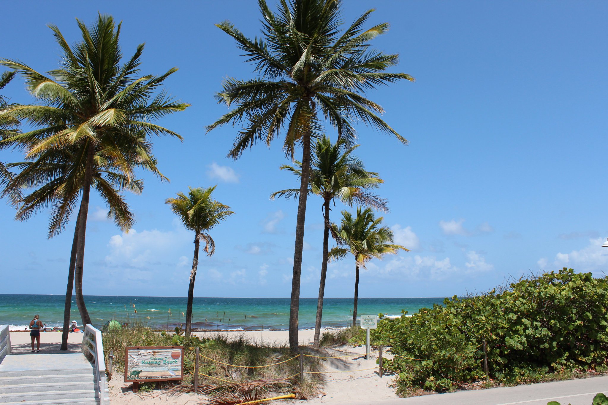 Broward County Parks on Twitter: "From seagrass to sawgrass.... #BrowardParks are not just ...