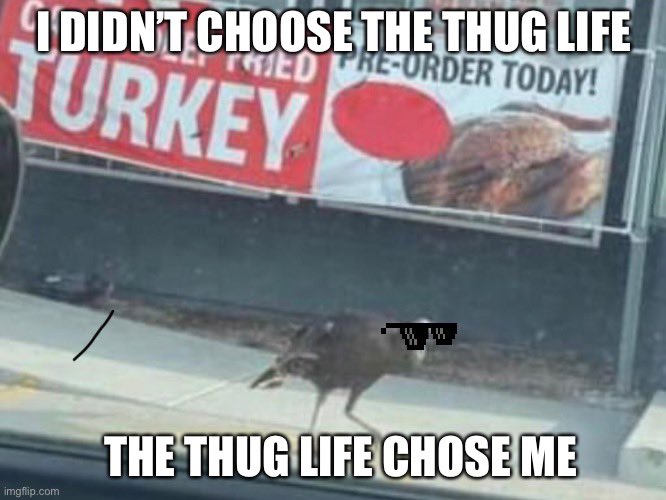 Turkey Meme