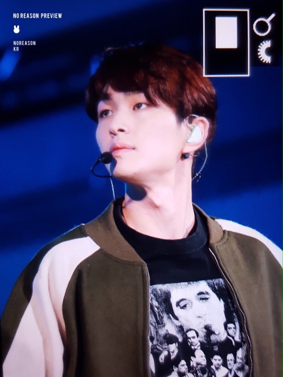 Blue_Usagi (@Blue_AO_Usagi) | Twitter