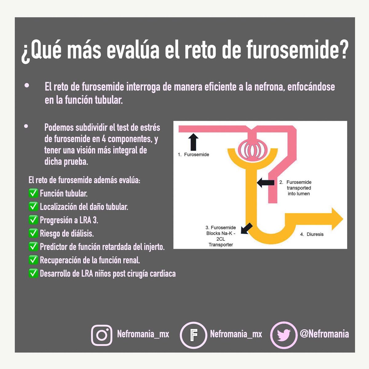 Test de estrés con Furosemide 🎯 - المسلسل من NefroMania_mx @nefromania ...