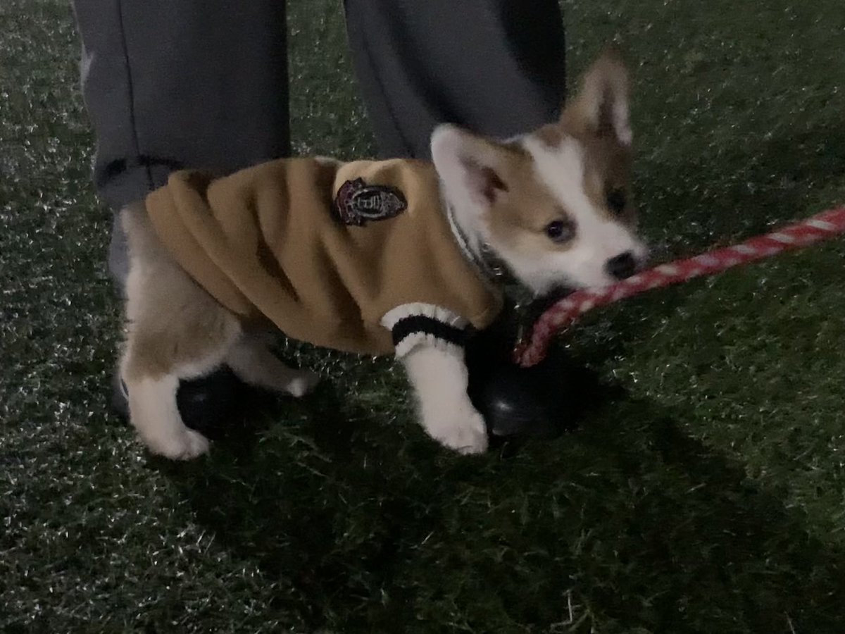 Steve Eason (@steveeason00) | Twitter