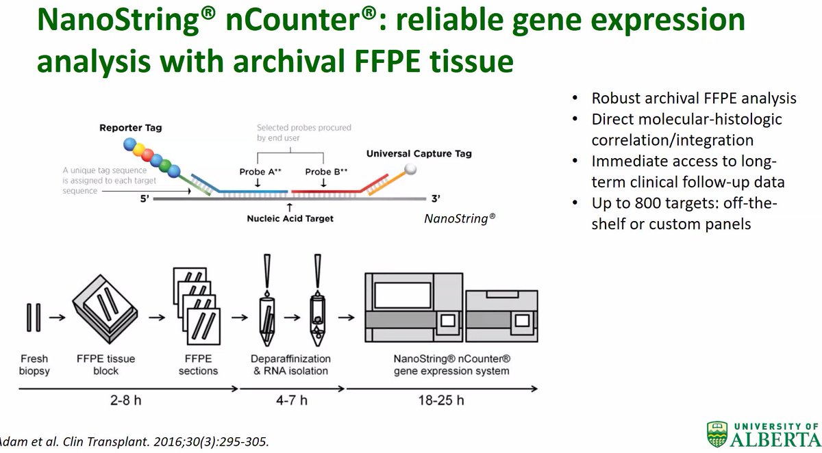 Thread by @Tiff_Caza on Thread Reader App – Thread Reader App
