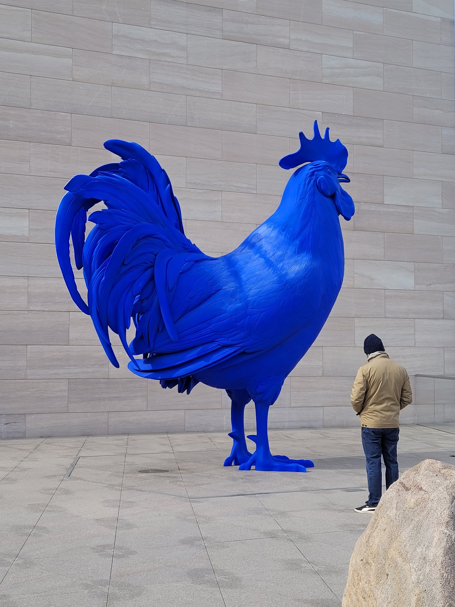 French Rooster Symbol