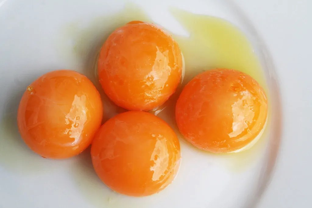 You'll never throw out the Yolk again after reading this. Thread. 🔴 👇 ...