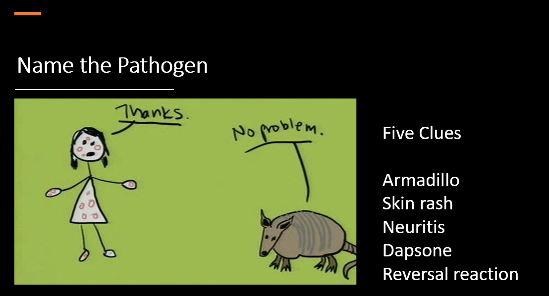 Weekend Digest Name the pathogen Five clues 1. #Armadillo 2. Skin rash ...