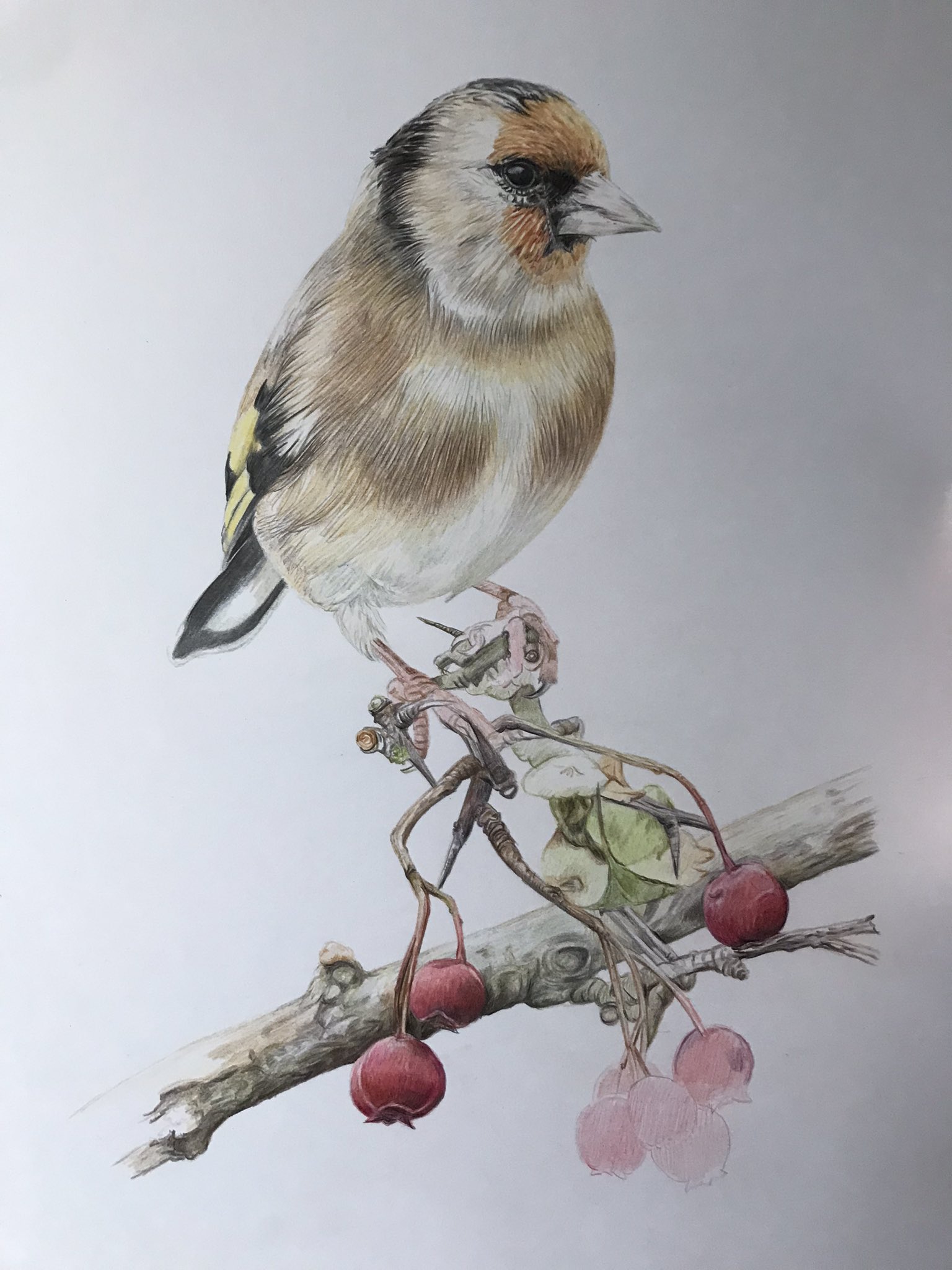 Mya Thet Chal (@myathetchal__) / Twitter