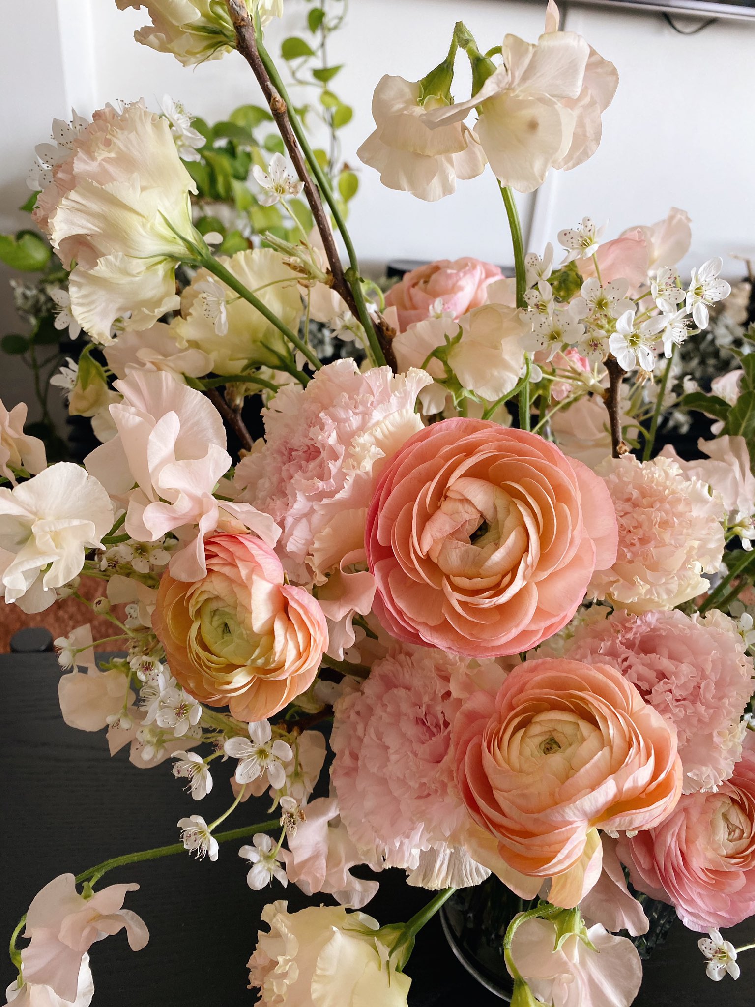 TW Pornstars - 2 pic. Vivienne Cole. Twitter. Swoon! Thank you,C! 💓. 4: ...