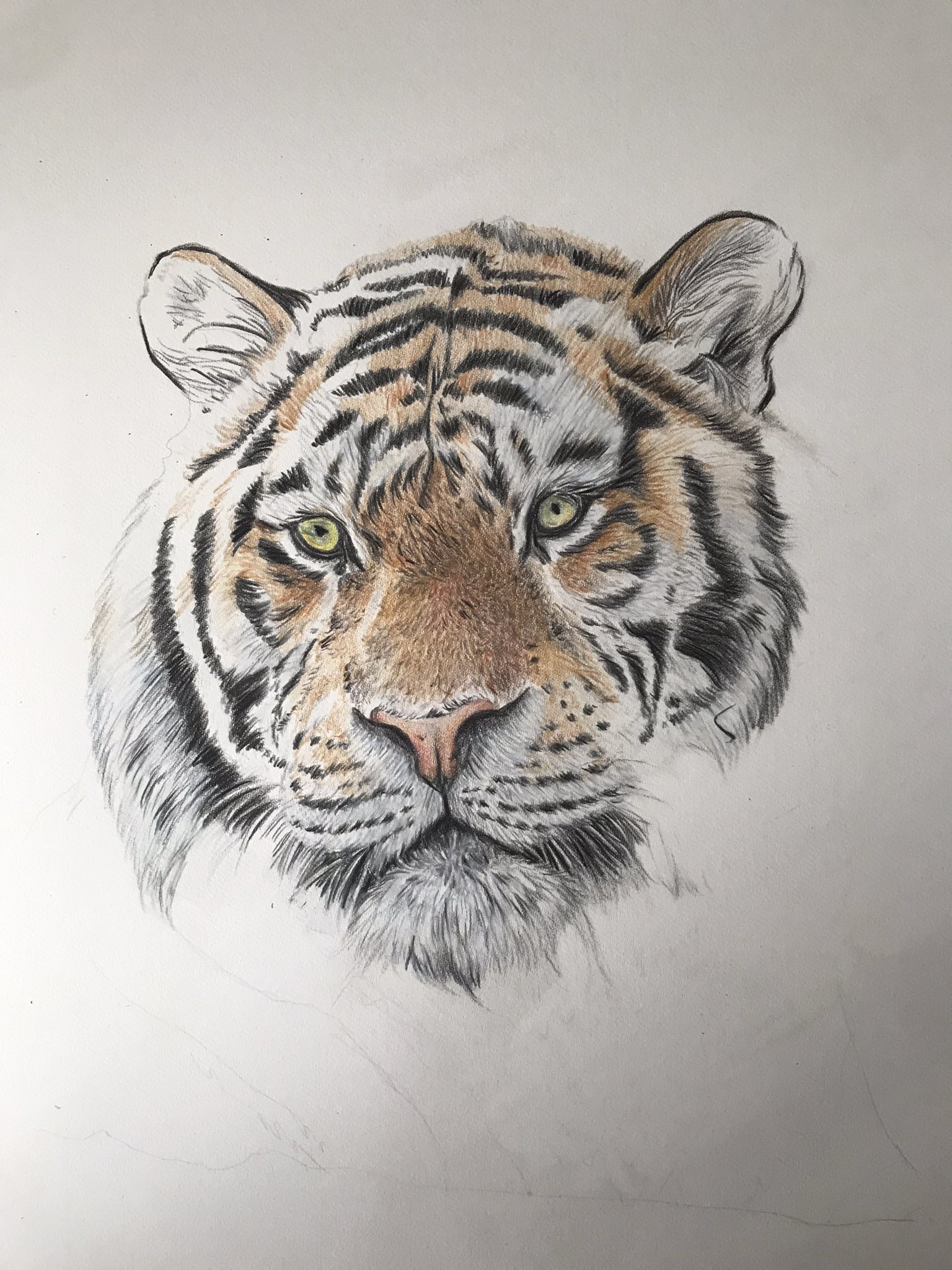 Mya Thet Chal (@myathetchal__) / Twitter