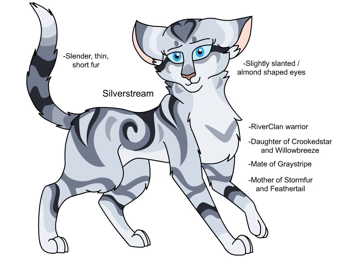 Silverstream In Starclan