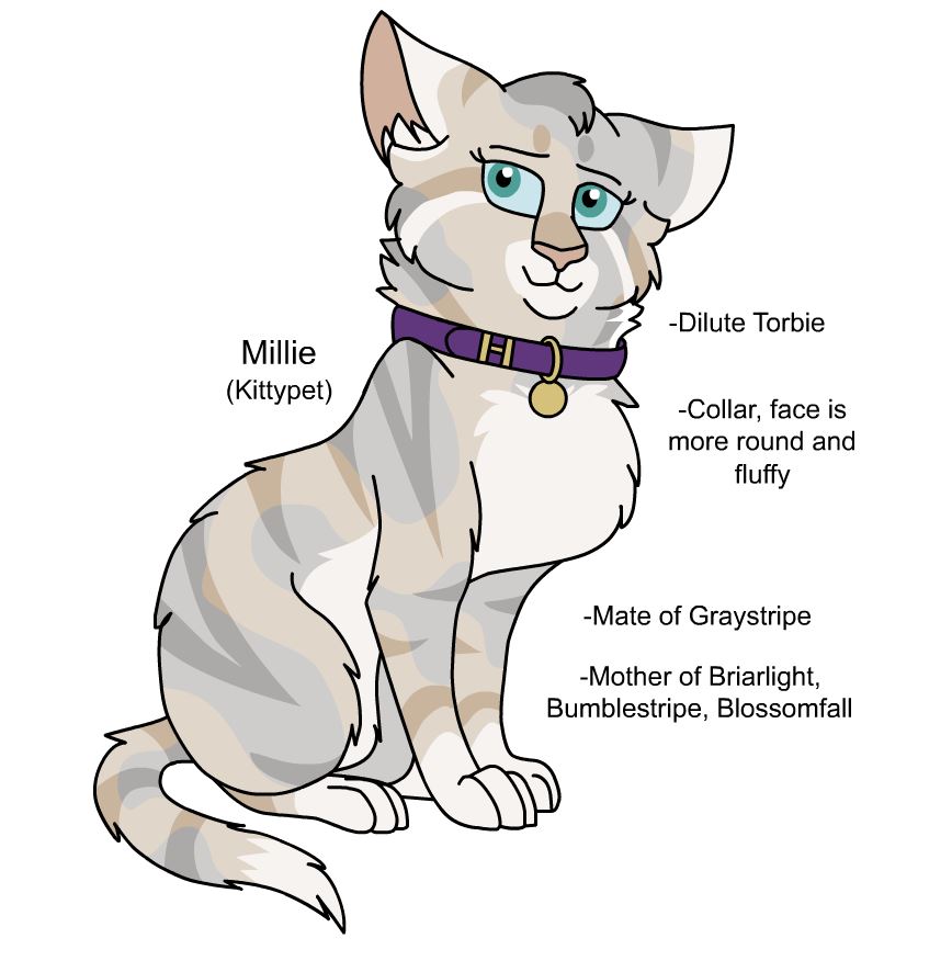 Silverstream In Starclan