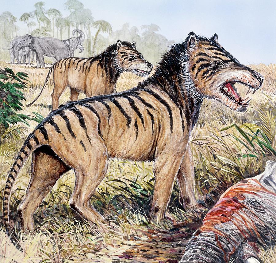 Prehistoric Mammals Predators