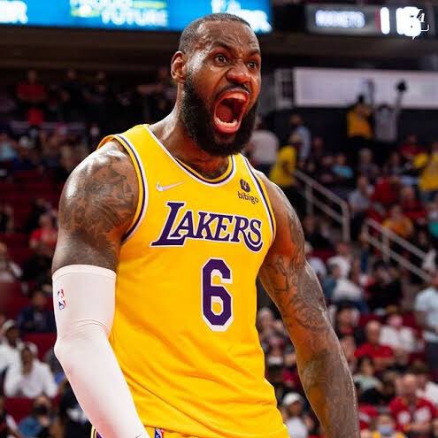 davizera🦜 (@Reimulekke) | Twitter