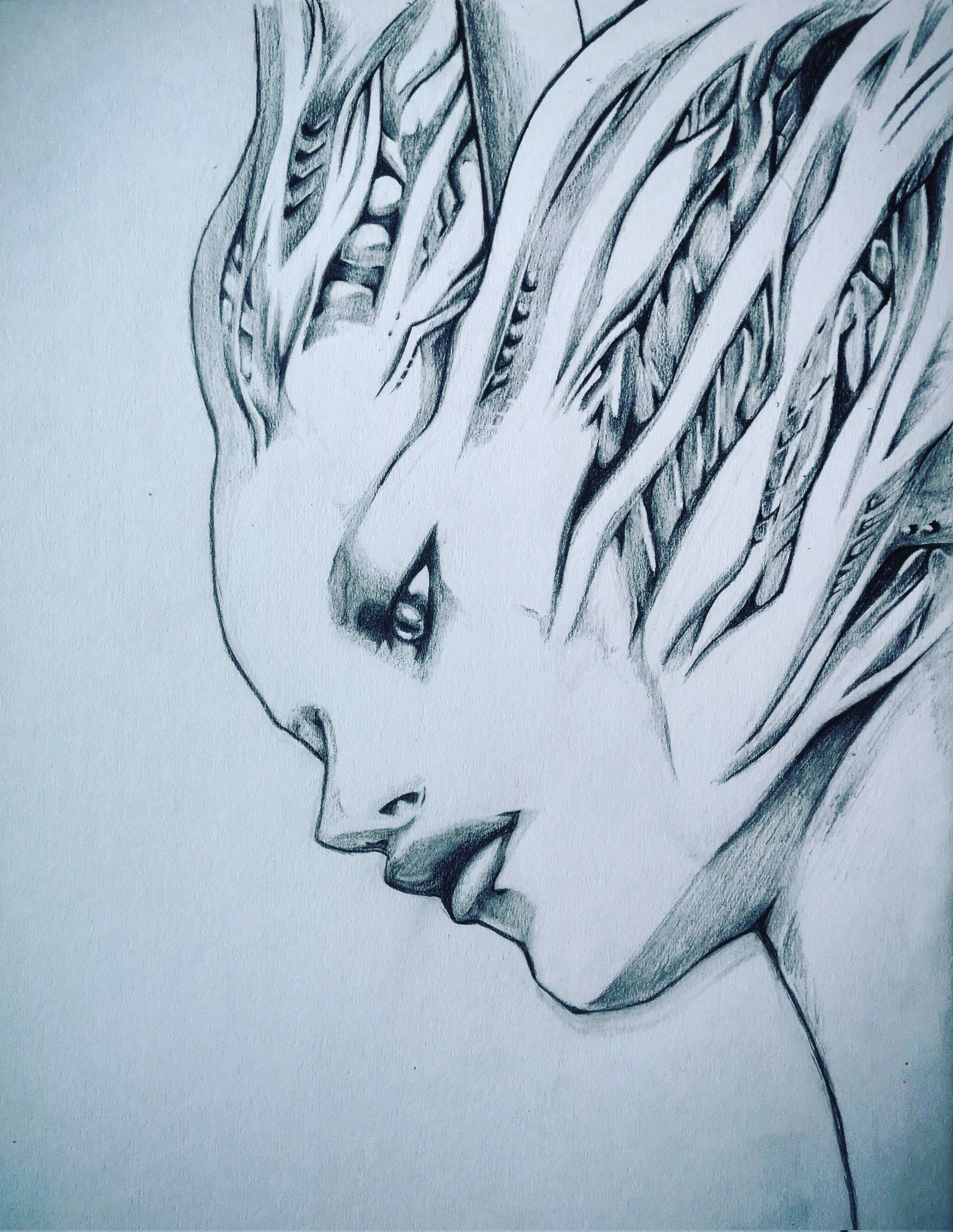 Claymore Jean Awakened