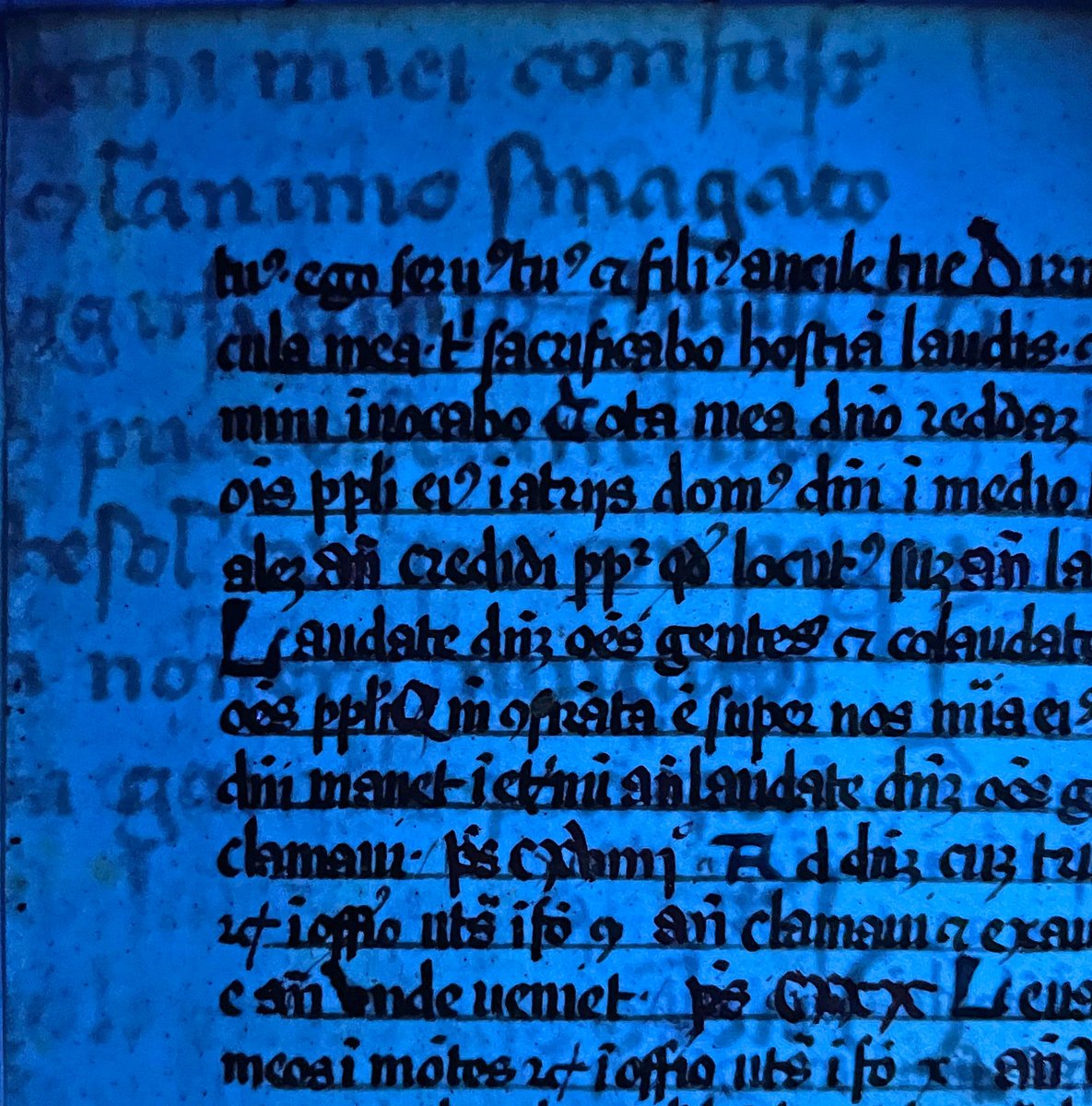 Dante, The Divine Comedy - one of the very earliest surviving witnesses ...