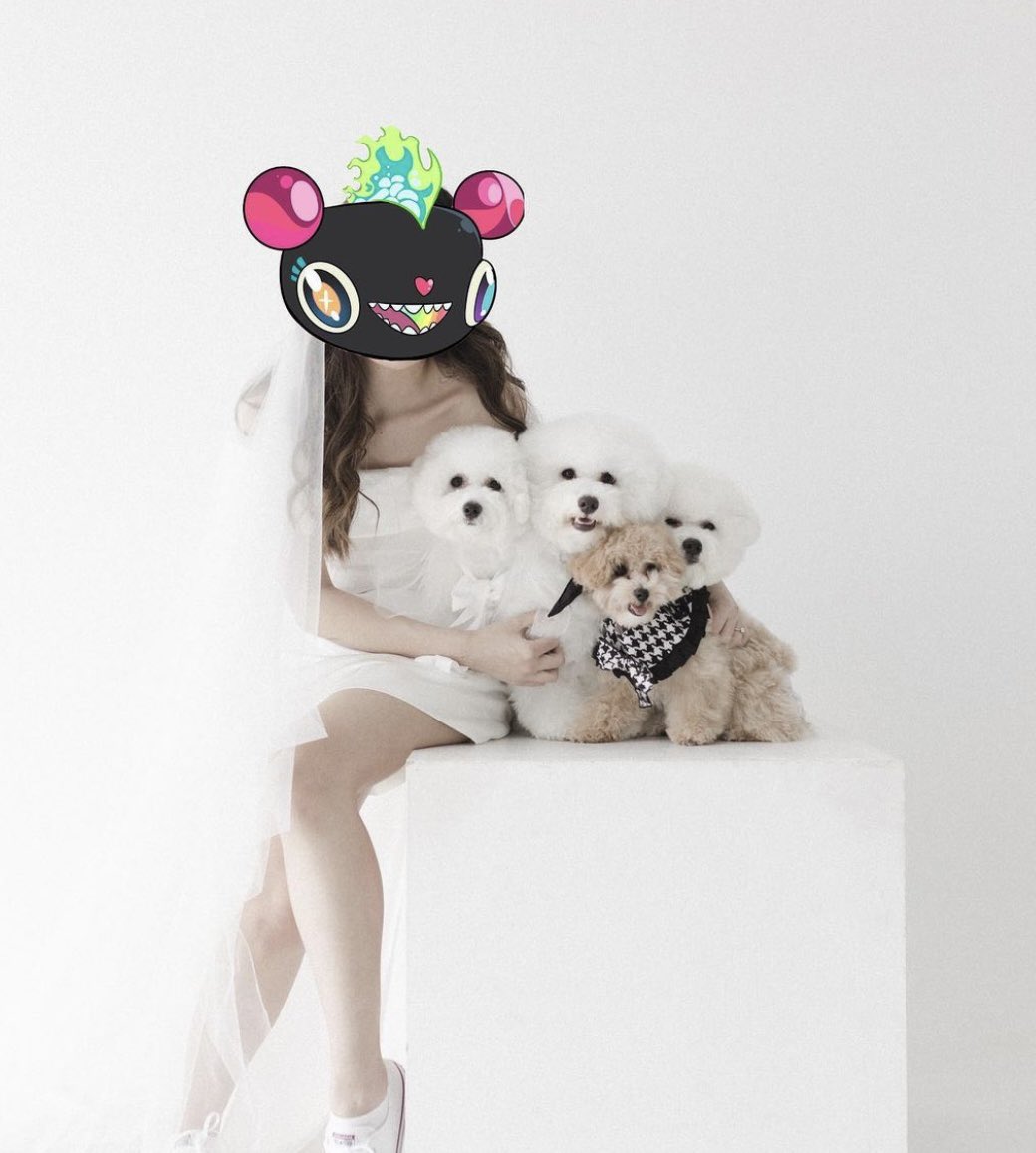 Charisma (@charisma_nft) | Twitter