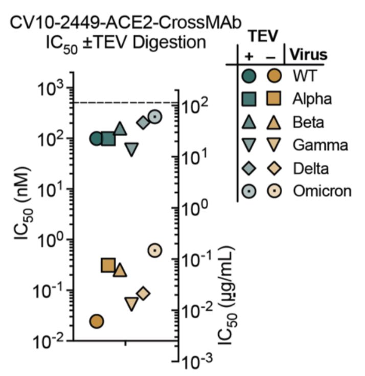 Thread by @p_weidenbacher on Thread Reader App – Thread Reader App