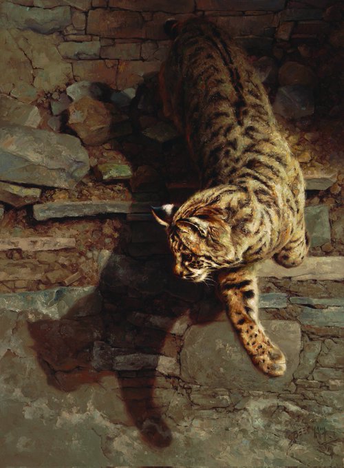 Greg Beecham Studio (@gregbeechamart) さんのイラスト・マンガ作品まとめ (37 件) - Twoucan