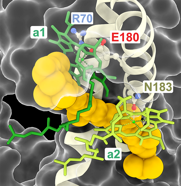 Centrum ALGATECH Třeboň (@AlgatechTrebon) | Twitter