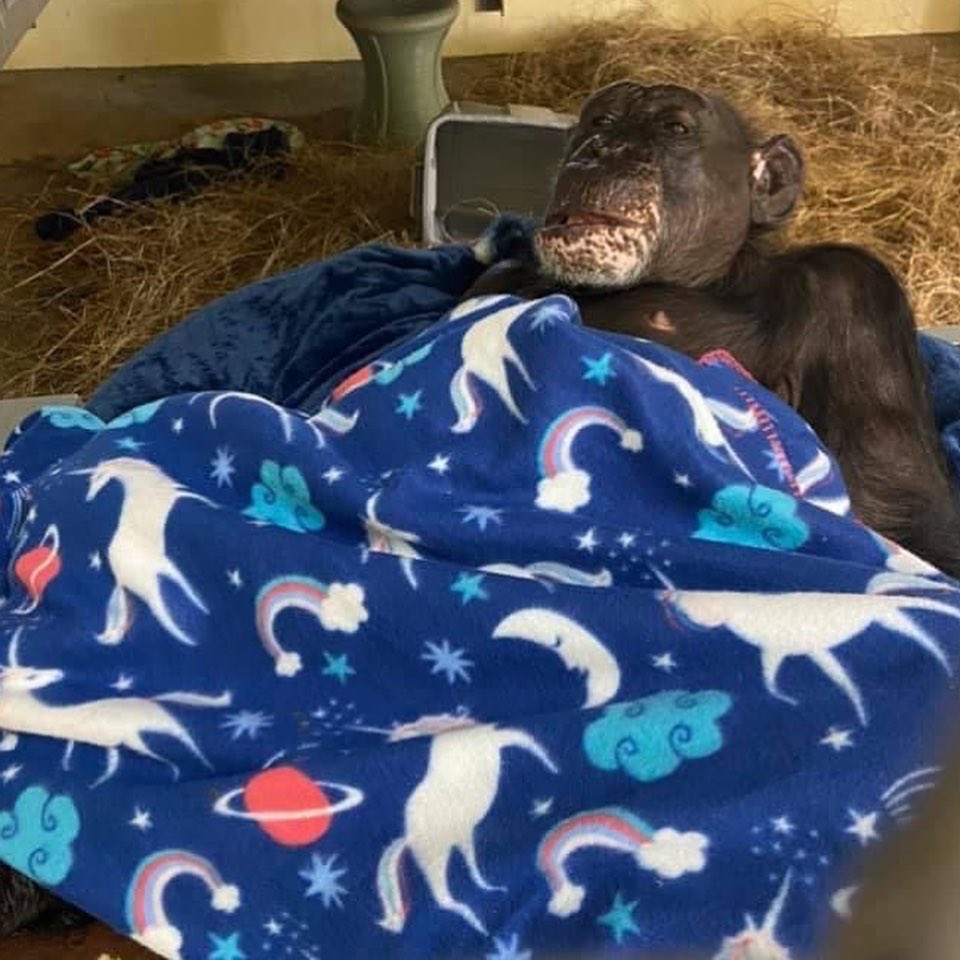 Weston Epps (@weston_epps) | Twitter