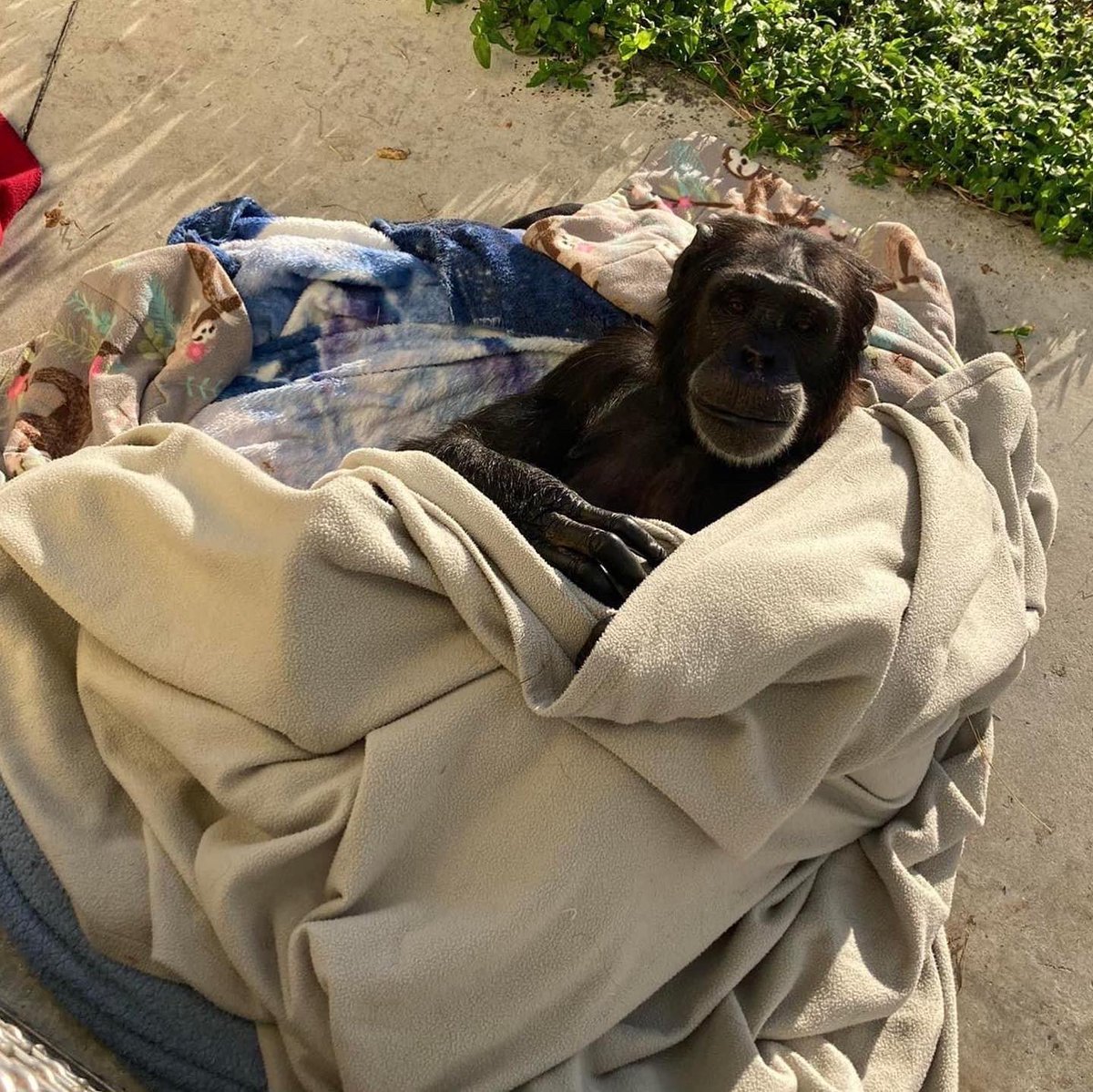 Weston Epps (@weston_epps) | Twitter