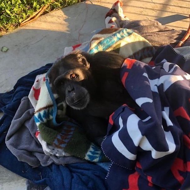 Weston Epps (@weston_epps) | Twitter