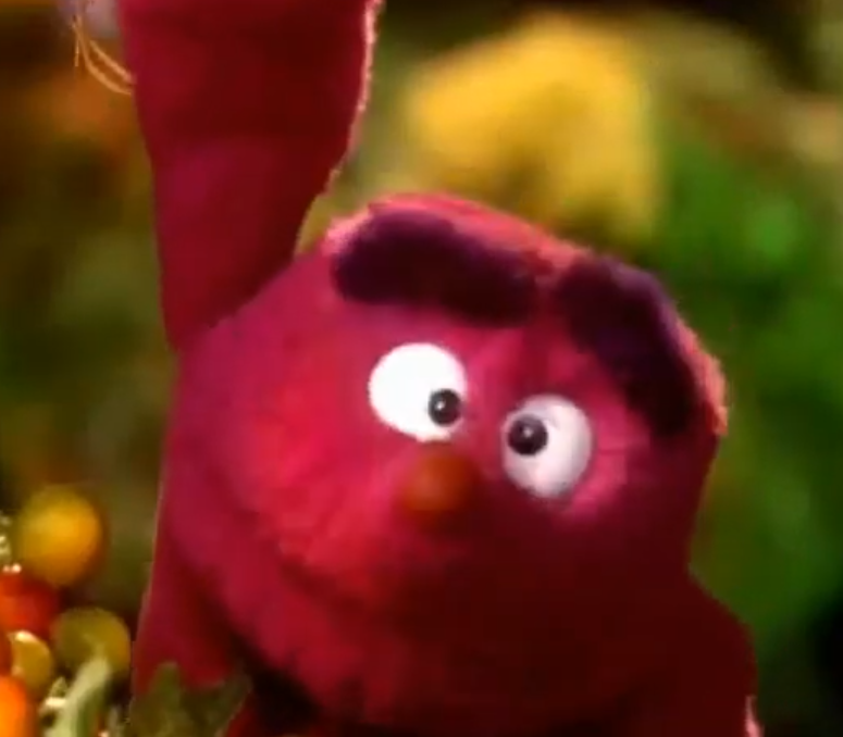 Johnny And The Sprites