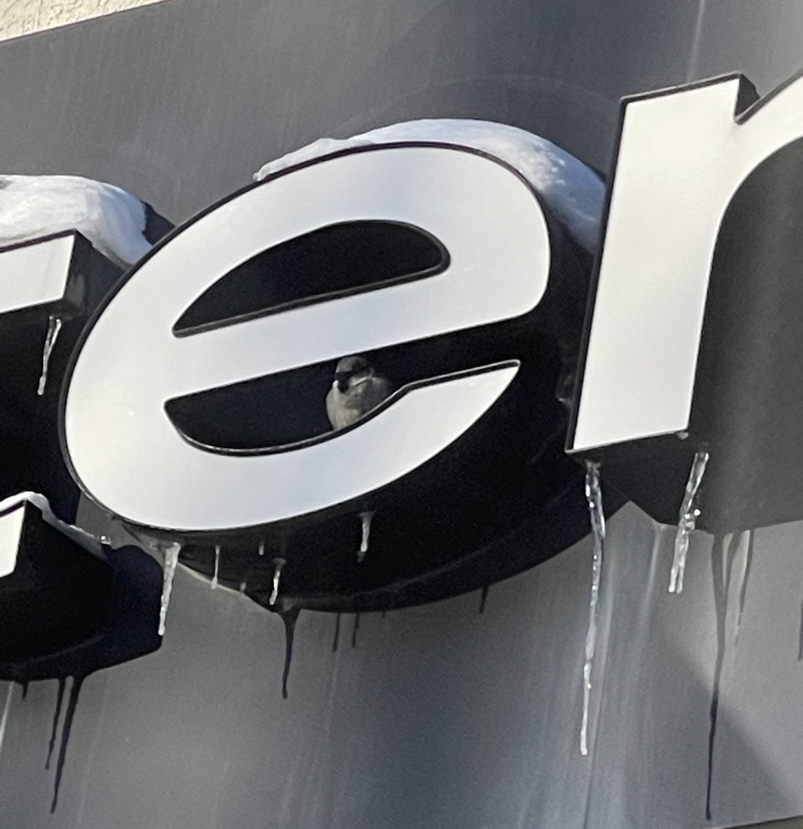 @schumatt/Microsoft Peeps on Twitter