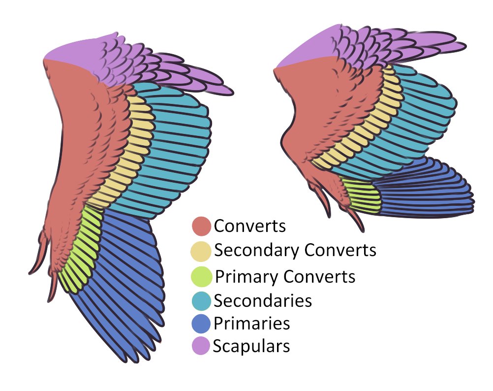 Deinonychus art I did in Krita : r/Dinosaurs
