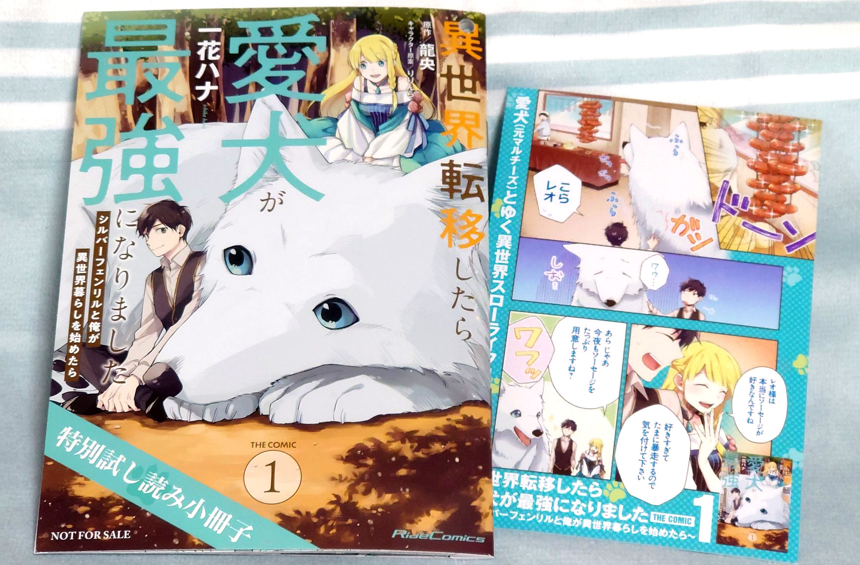 一花ハナ コミカライズ連載中 On Twitter 1 31 月 発売 『異世界転移したら愛犬が最強になりました~シルバーフェンリルと俺