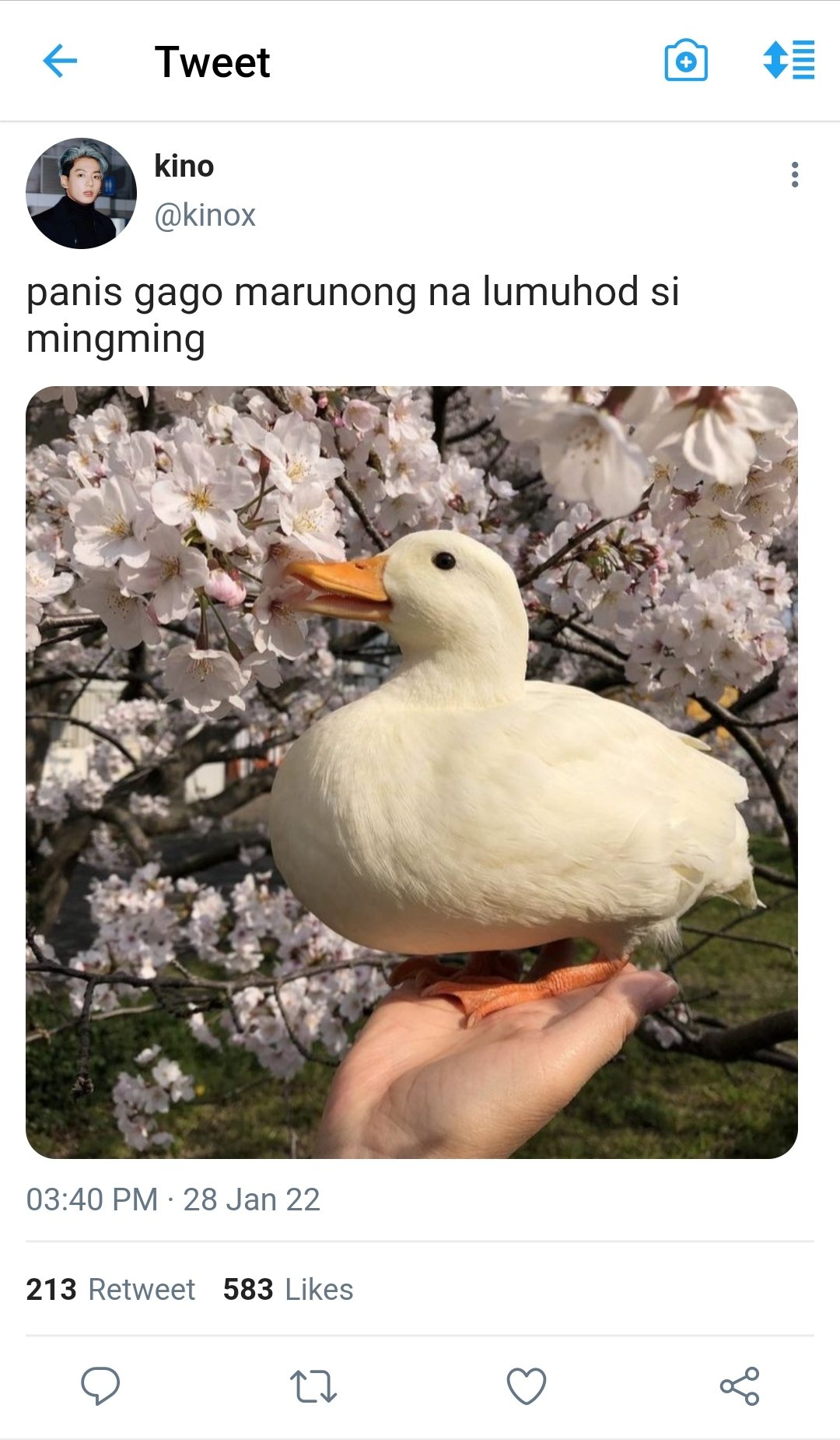 . on Twitter: "24. mingming https://t.co/3lgxVak8yT" / Twitter