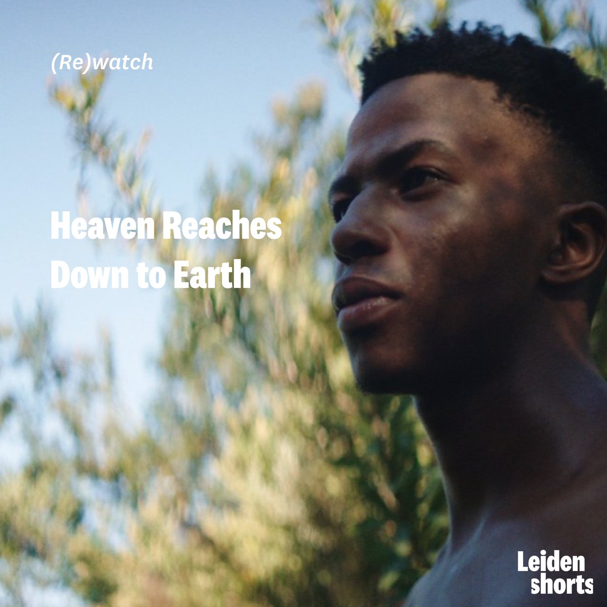 Leiden Shorts (@LeidenShorts) | Twitter