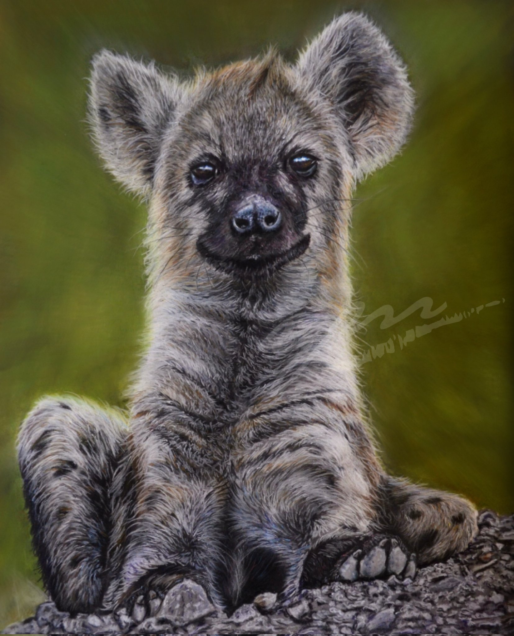 Baby Hyena Drawing
