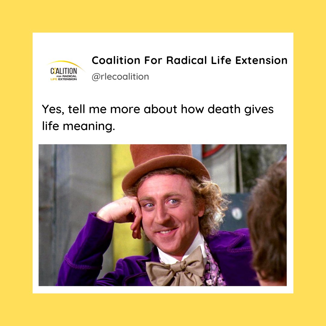 Tell Me More Meme Willy Wonka