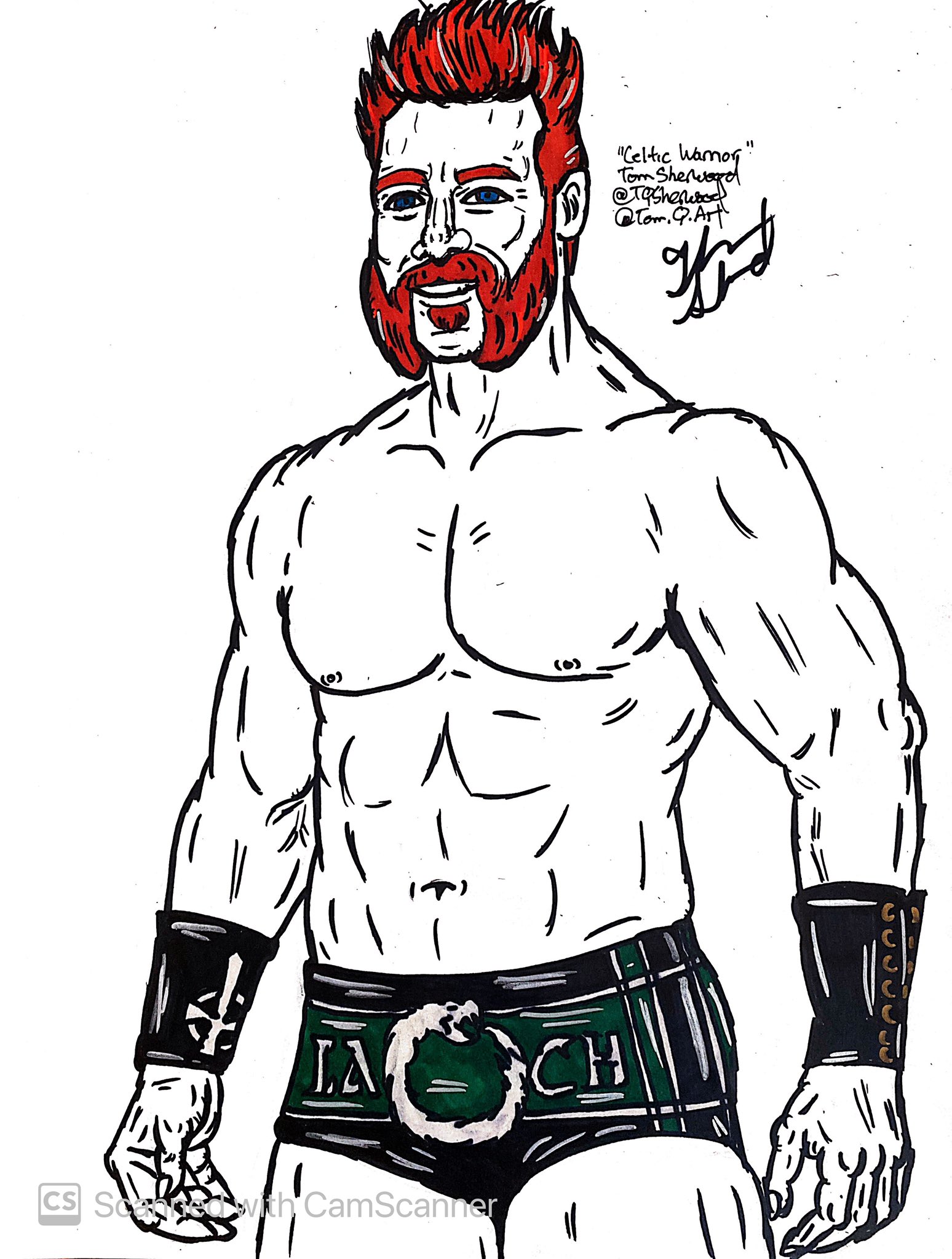 Top 128+ Wwe sheamus cartoon - Tariquerahman.net