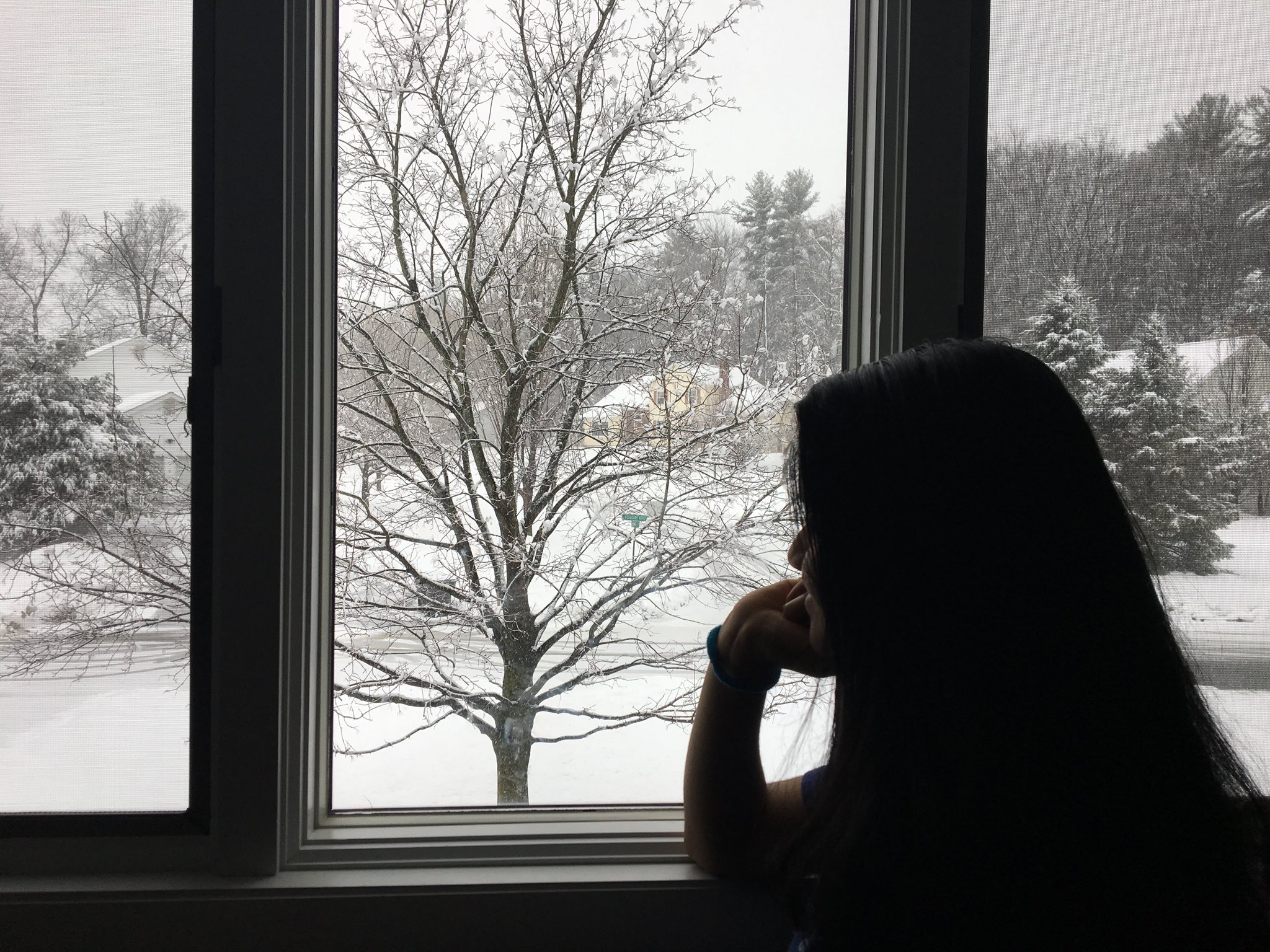 Looking Through A Window At Snow