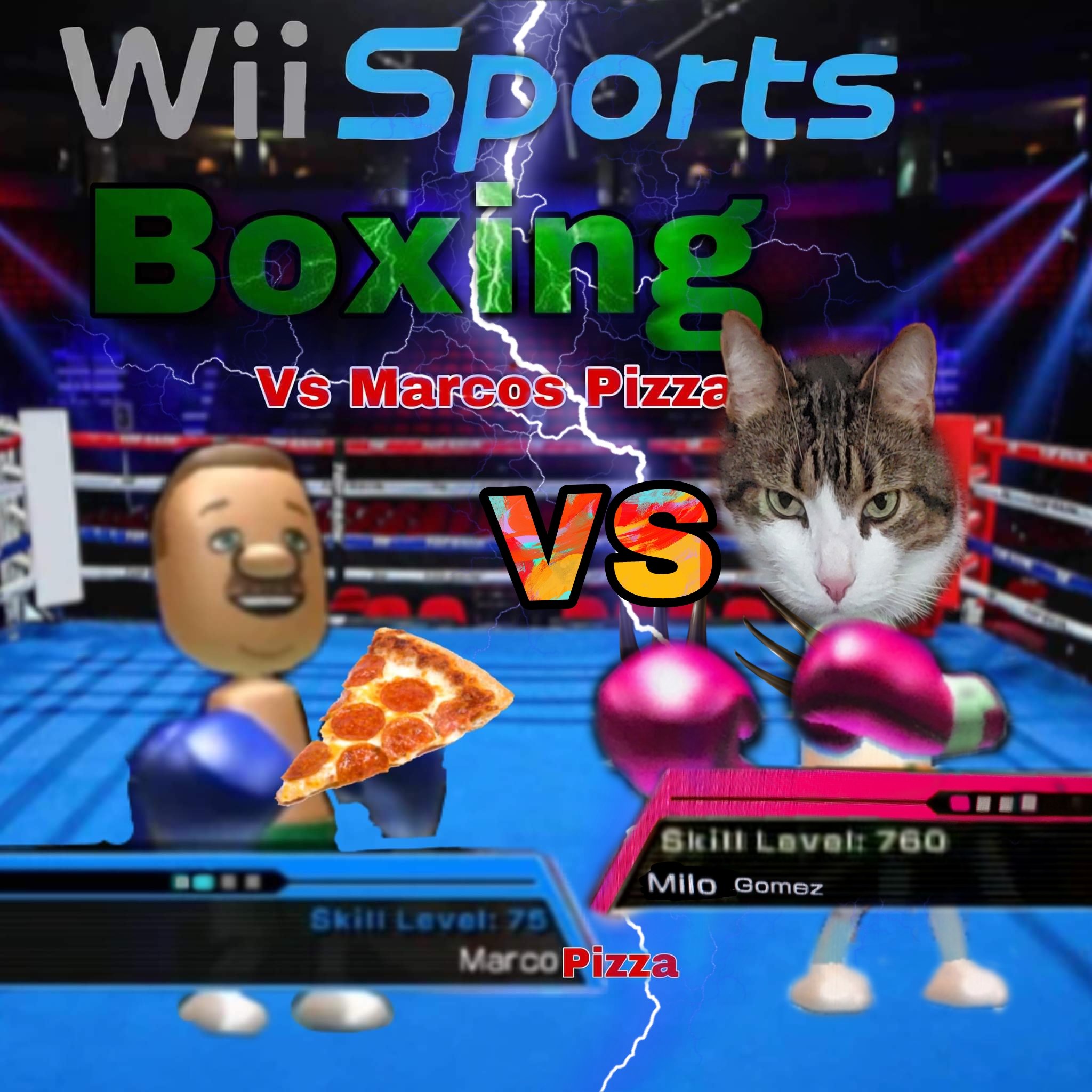 Wii Sports Boxing