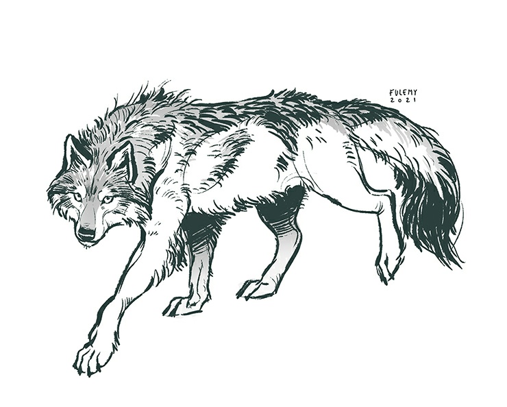 Wolf Walking Drawing