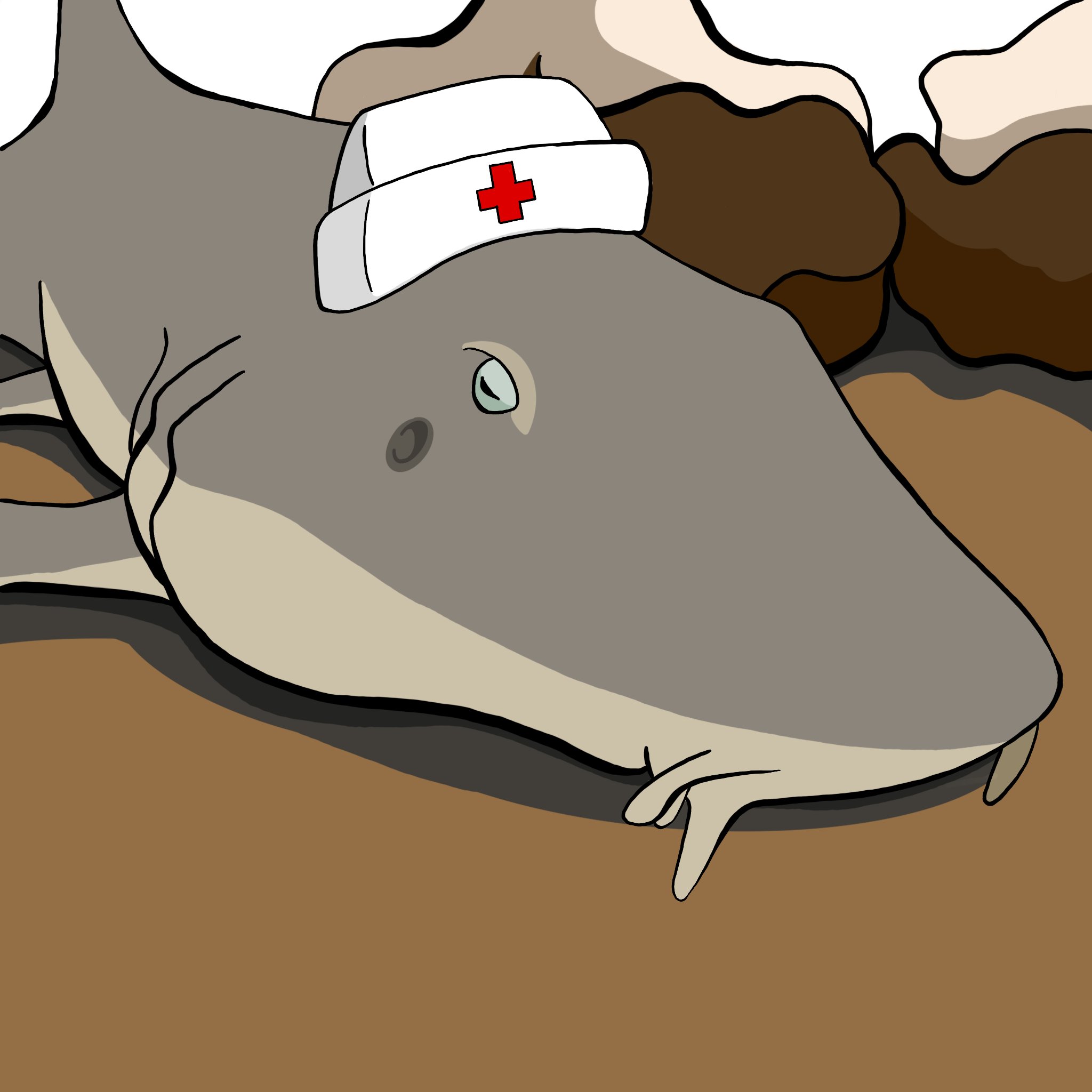 Nurse Shark Drawing
