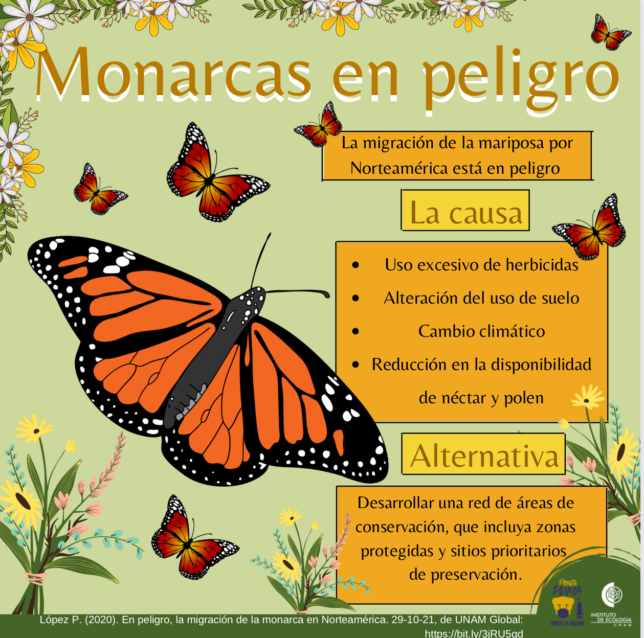 Por primera vez en la historia, la mariposa monarca está en peligro de ... Por primera vez en la historia, la mariposa monarca está en peligro de ...