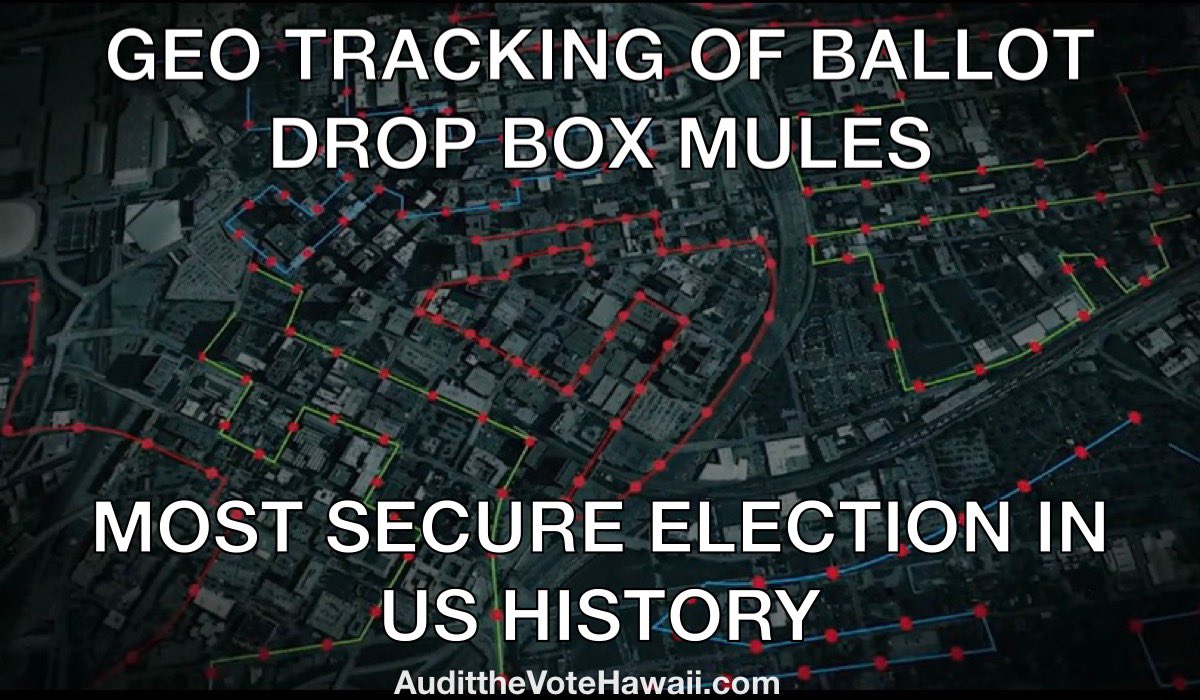 Audit the Vote Hawaii (@AudittheVoteHI) | Twitter