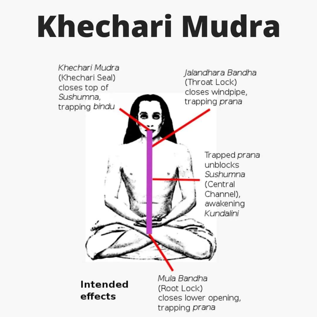 Khechari Mudra