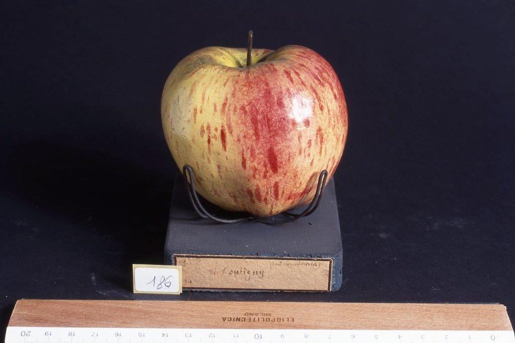 Beatrice Cavenago (@beacavenago) | Twitter