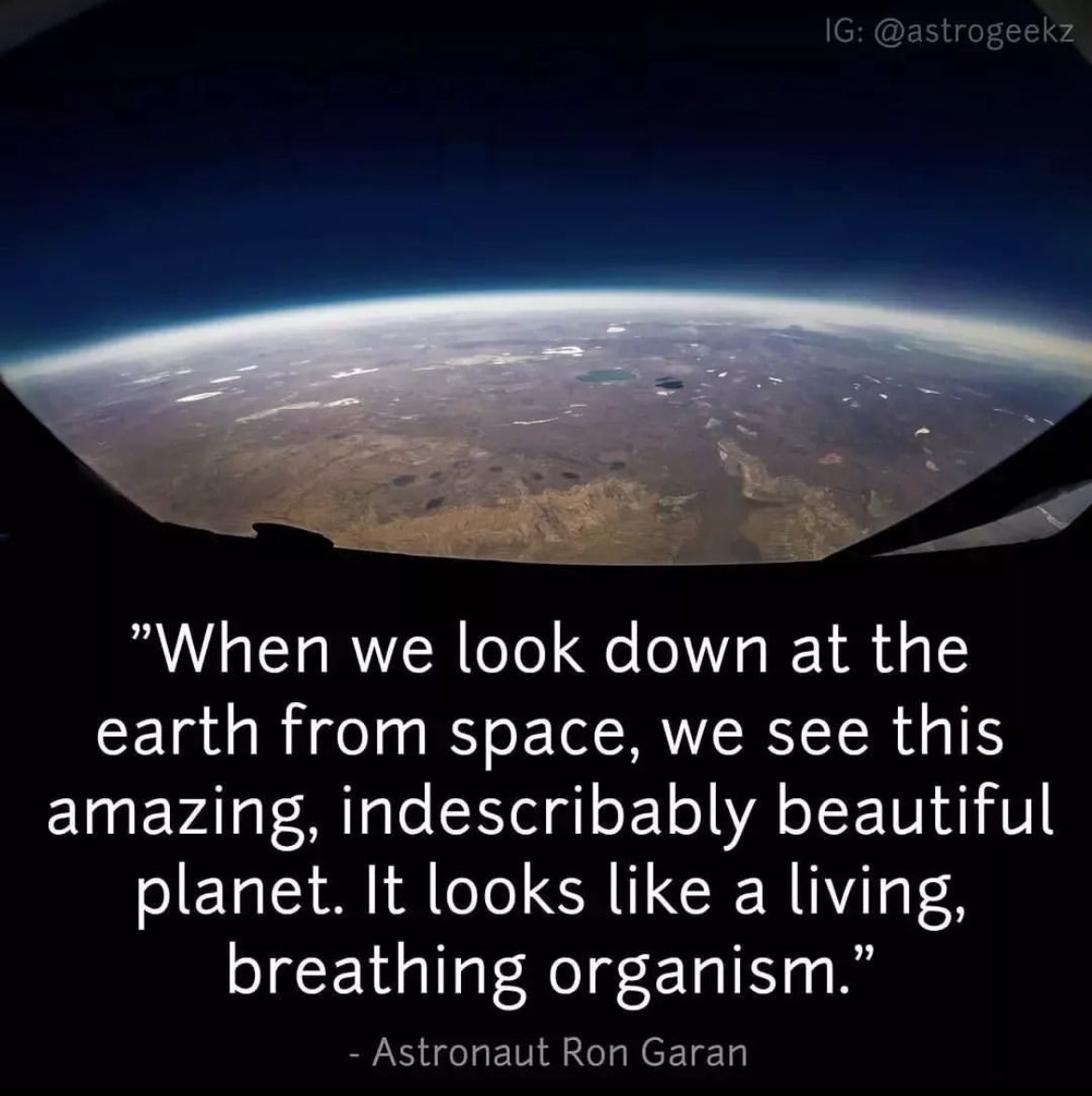 Space Earth Quotes Who Wants To See The Manager Of Planet Earth?